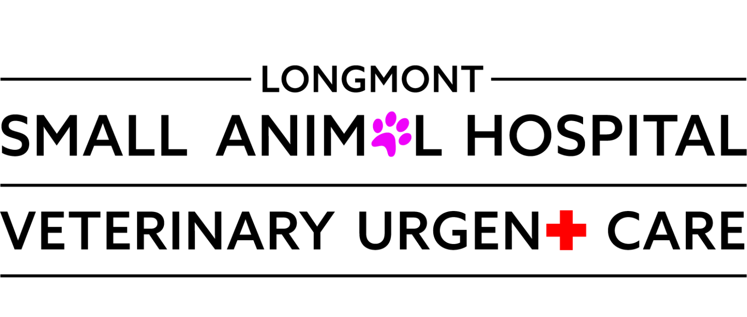 Home - Longmont Small Animal Hospital | Expert Pet Care for Every Stage ...