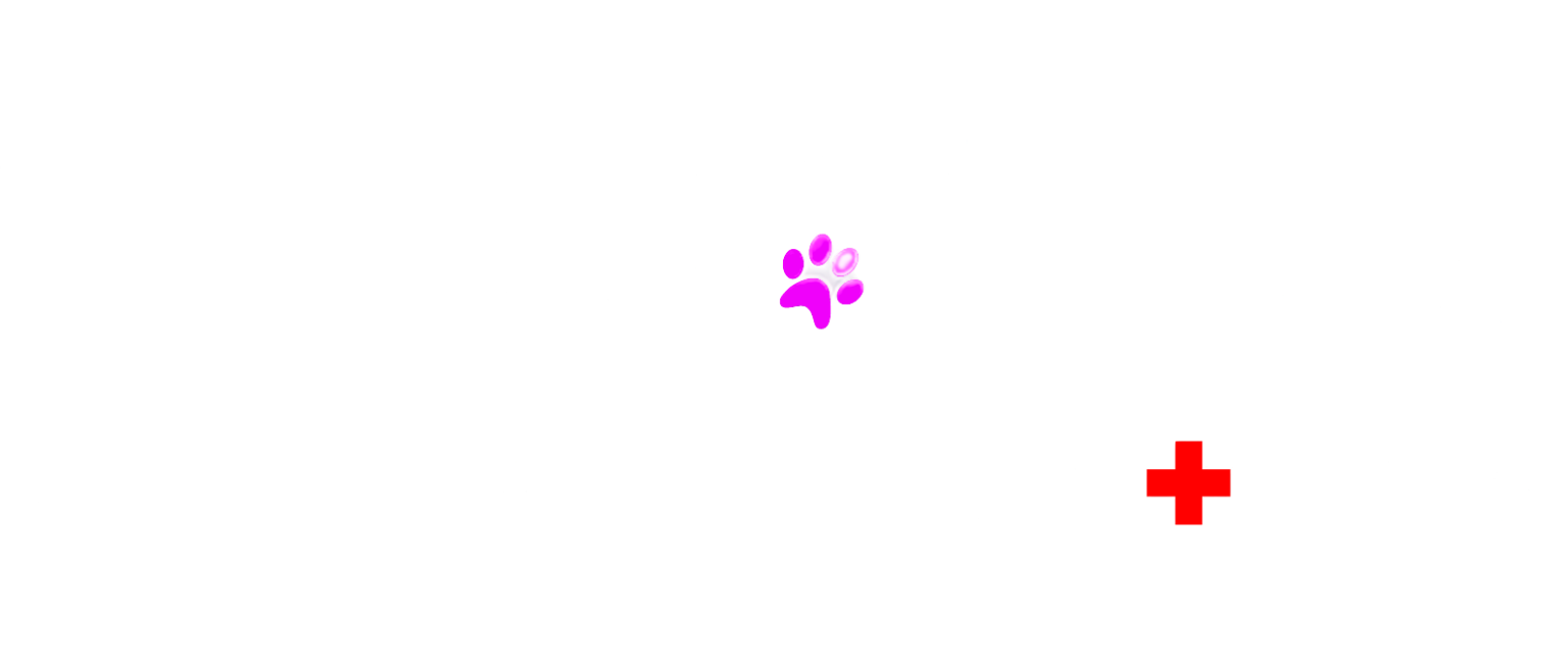 Home - Longmont Small Animal Hospital | Expert Pet Care for Every Stage ...