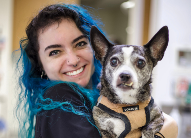 Home - Longmont Small Animal Hospital | Expert Pet Care for Every Stage ...